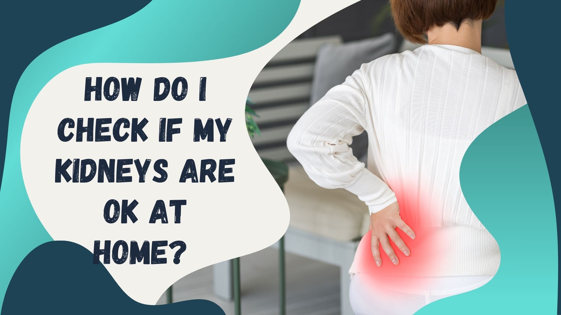 How do I check if my kidneys are OK at home?