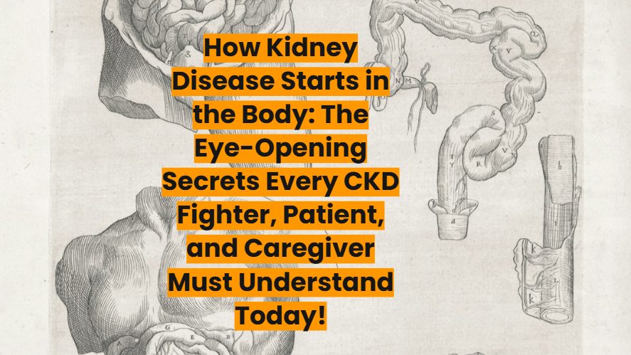 How Kidney Disease Starts in the Body : Discover the Hidden..