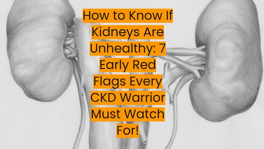 How to Know If Kidneys Are Unhealthy? 7 Early Red Flags Every
