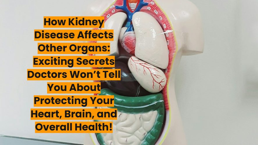 How Kidney Disease Affects Other Organs : Secrets to Protecting
