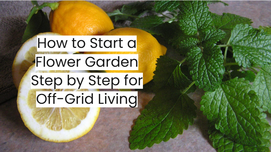 How to Start a Flower Garden Step by Step for Off-Grid Living