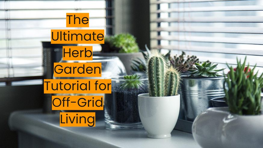 The Ultimate Herb Garden Tutorial for Off-Grid Living